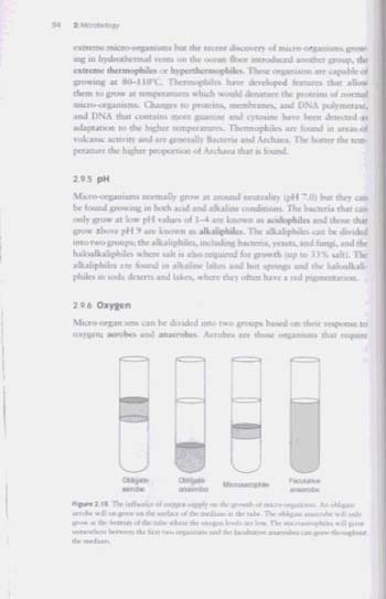 Environmental Biotechnology by Alan H. Scragg | Waterstones