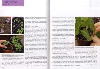 The Greenhouse Gardener by Anne Swithinbank, John Swithinbank | Waterstones