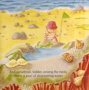 On the Seashore by Anna Milbourne, Teri Gower | Waterstones