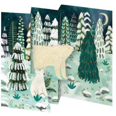 Northern Lights Tri Fold Box x5 | Waterstones