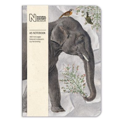 Elephant A5 Luxury Notebook | Waterstones