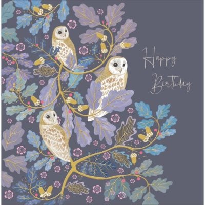 Happy Birthday Owls Card | Waterstones