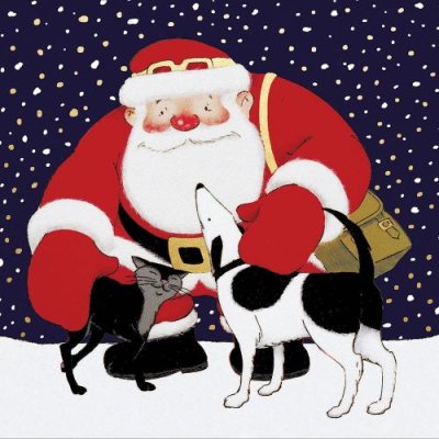 Raymond Briggs Father Christmas Box Foiled X6 Cards | Waterstones