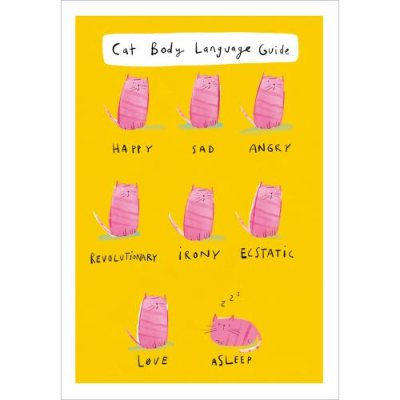 Cat Body Language Greeting Card | Waterstones