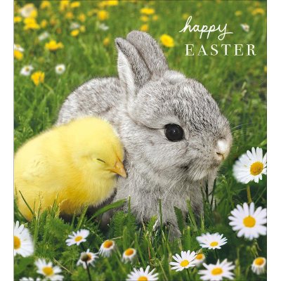 Chick And Bunny Greeting Card | Waterstones