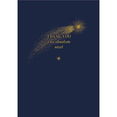 Thank You Absolute Star | Waterstones