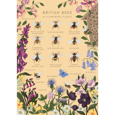 British Bees Greeting Card | Waterstones