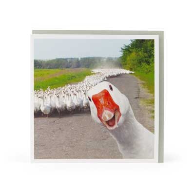 Goose Army Card | Waterstones