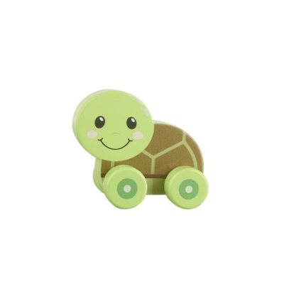 Turtle First Push Toy | Waterstones