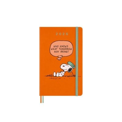 Peanuts Orange Wtv Diary 2026 | Waterstones