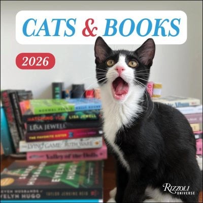 2026 Cats And Books Calendar by Rizzoli Universe | Waterstones