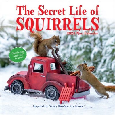 Secret Life of Squirrels Mini Calendar 2024 by Nancy Rose, Workman ...
