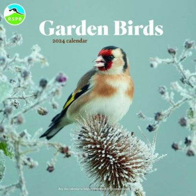 2024 Rspb Garden Birds Wall Calendar | Waterstones