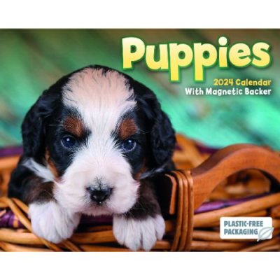 2024 Puppies Mini Boxed Calendar | Waterstones