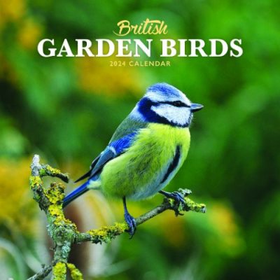 2024 Garden Birds Mini Wall Calendar | Waterstones