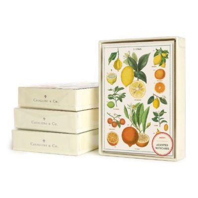 Citrus Note Card Set | Waterstones
