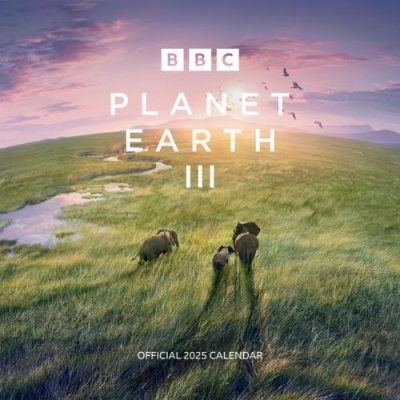 2025 Planet Earth 3 Wall Calendar | Waterstones