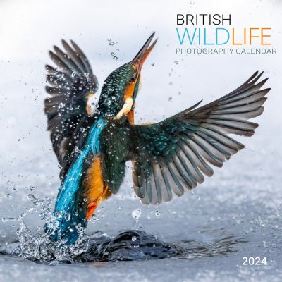 2024 British Wildlife Photography Wall Calendar | Waterstones