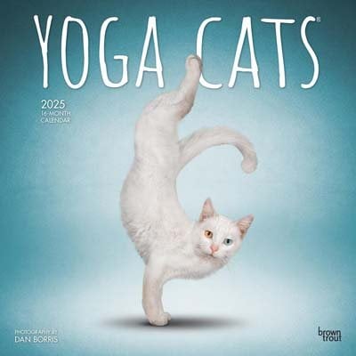 2025 Yoga Cats Wall Calendar | Waterstones