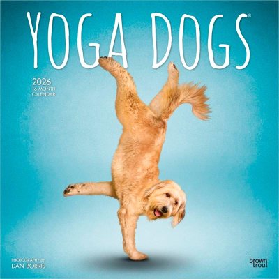 2026 Yoga Dogs Calendars | Waterstones