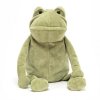 Fergus Frog | Waterstones