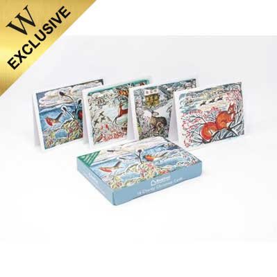 Angela Harding Books | Waterstones