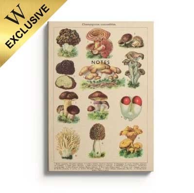 Funghi Chart Perfect Bound A5 Notebook | Waterstones