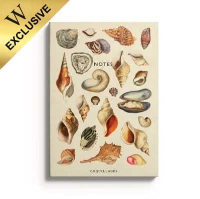 Shells Chart Perfect Bound A5 Notebook | Waterstones